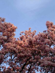 Milan in April – Weather + Local Tips - Milan and Beyond